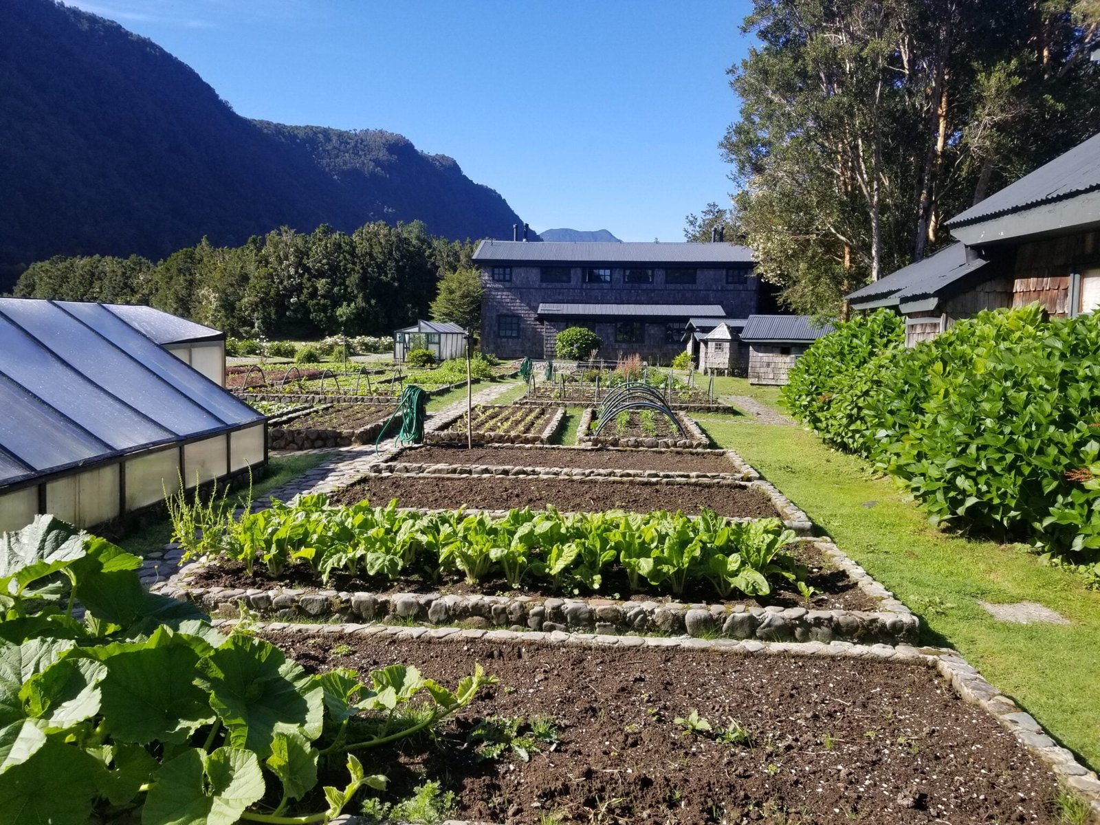 USDA Plant Hardiness Zones in Chile - Chile Expat Family